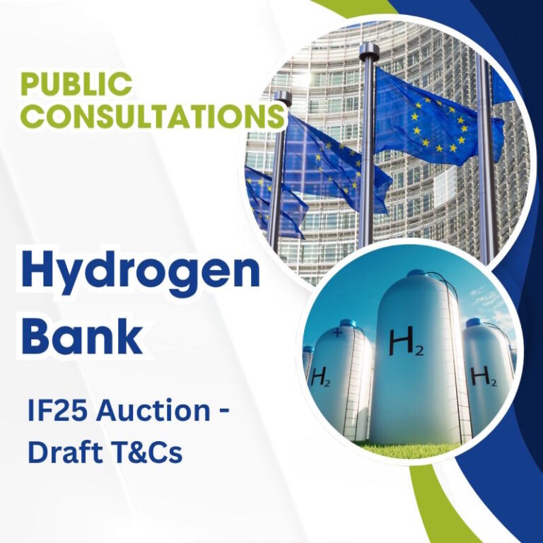 EU Hydrogen Auction - Energy Regulation Solutions